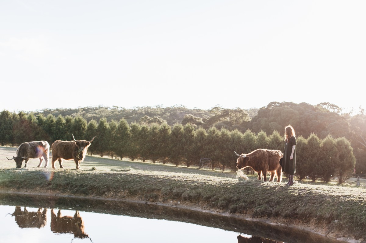 Redleaf Farm 0411 763 373 – Award winning produce and unique farmstay ...