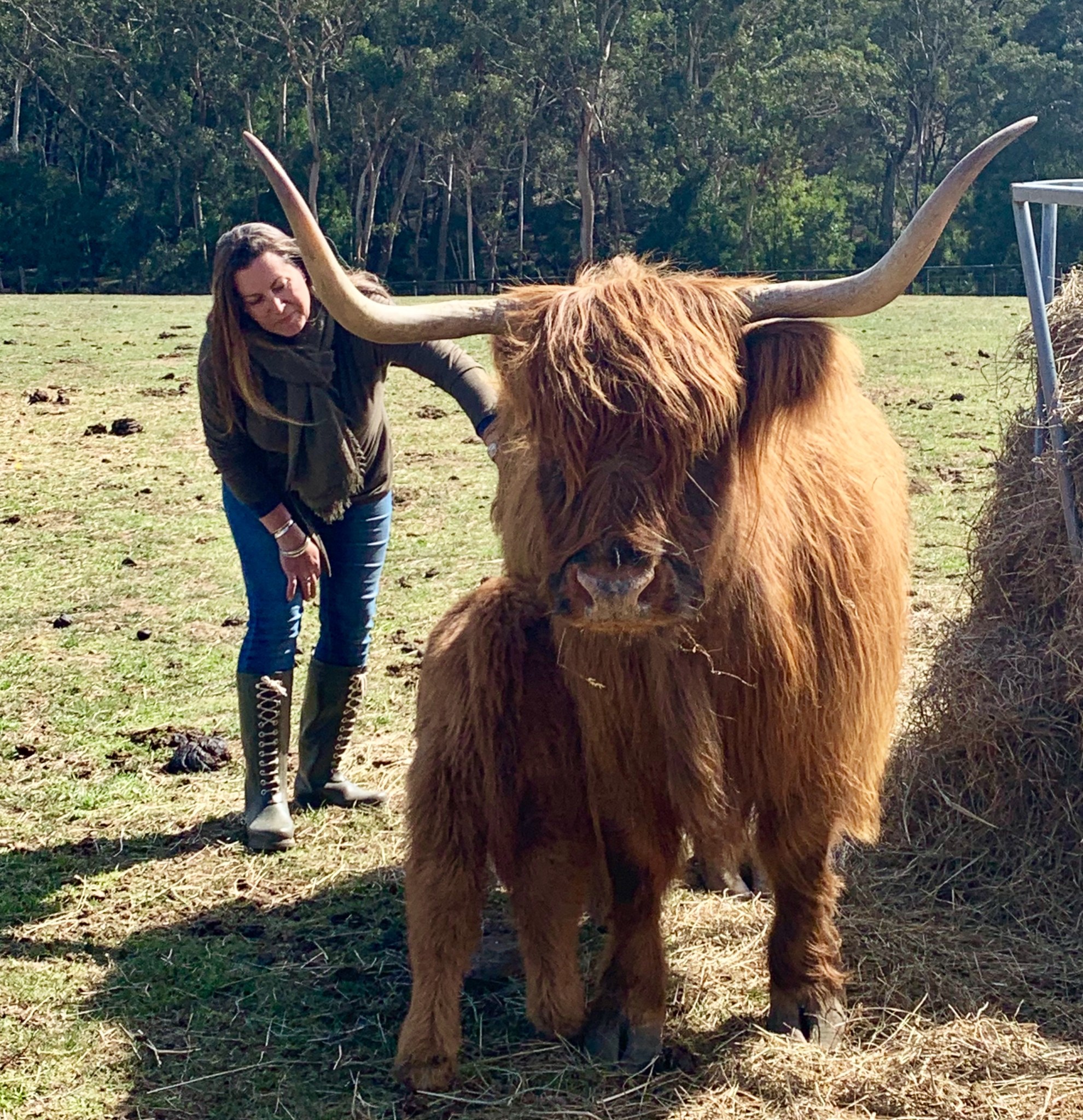 Redleaf Farm 0411 763 373 – Award winning produce and unique farmstay ...